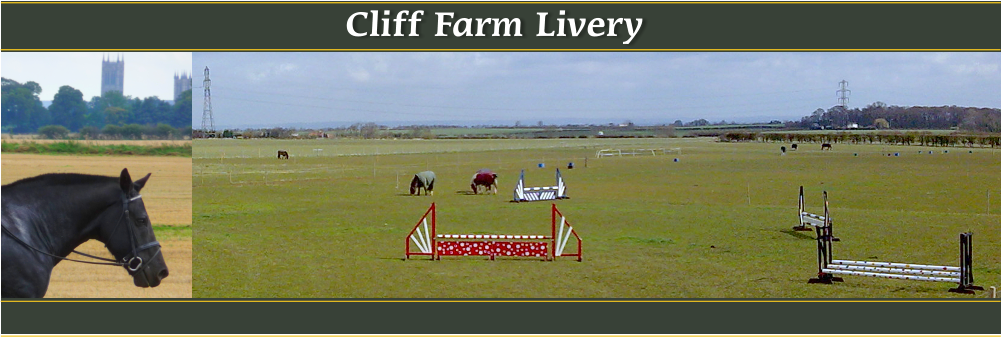 Cliff Farm Livery - Full Livery and Part Livery options
